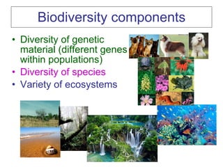 Biodiversity info | PPS | Biological Sciences | Science