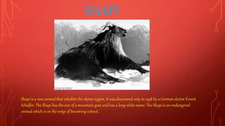 Biodiversity in sikkim | PPTX