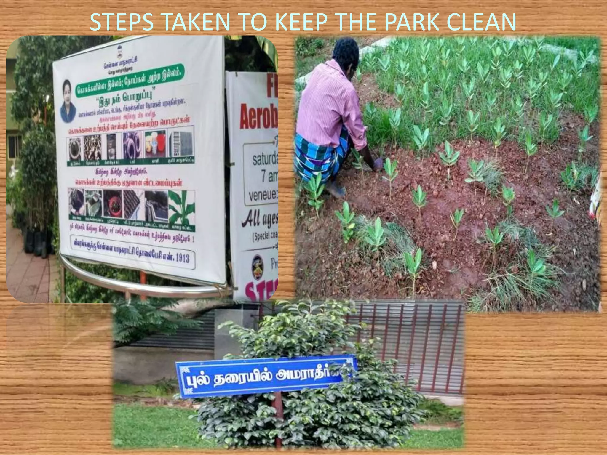 Biodiversity in sivan park remade | PPTX