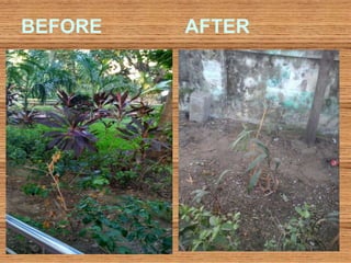 Biodiversity in sivan park remade | PPTX