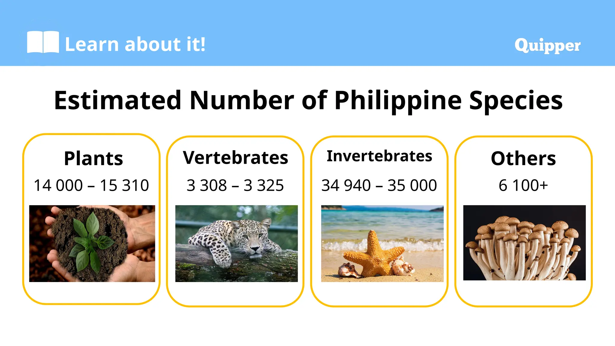 _Biodiversity in the Philippines ediwow.pptx
