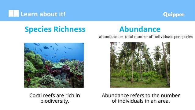 _Biodiversity in the Philippines ediwow.pptx