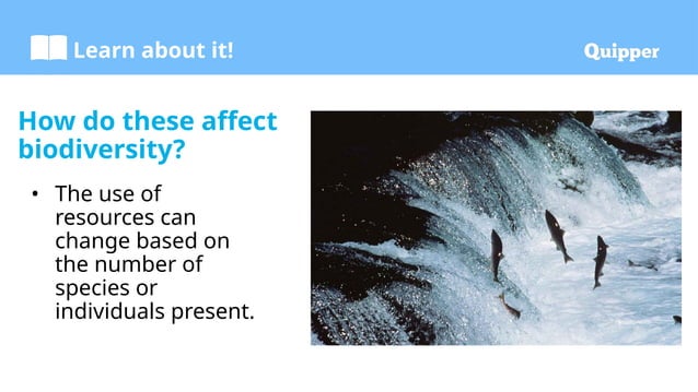 _Biodiversity in the Philippines ediwow.pptx