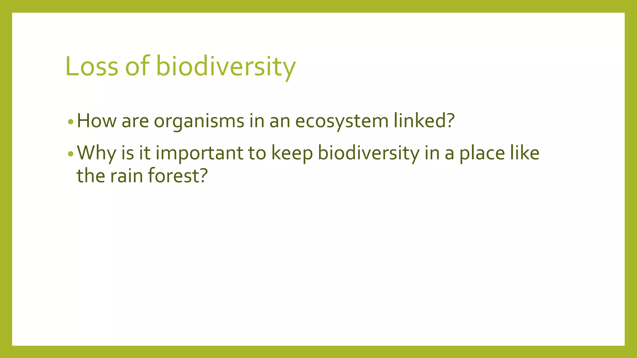 Biodiversity in the rainforest