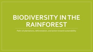 Biodiversity in the rainforest | PPT