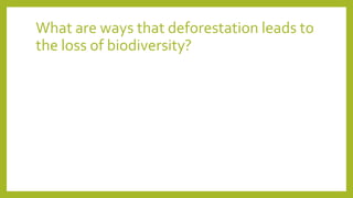 Biodiversity in the rainforest | PPT