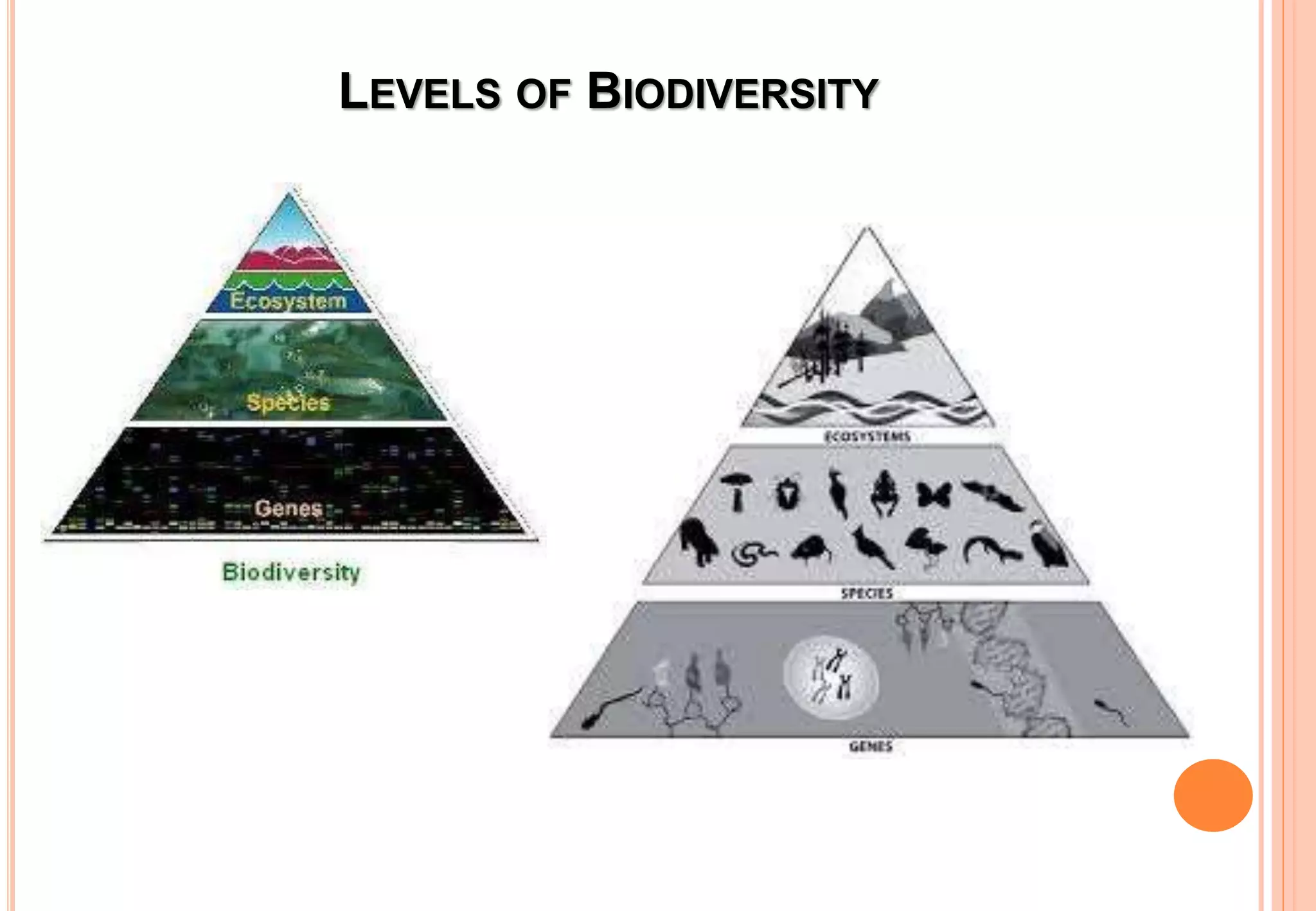Biodiversity and its conservation | PPTX