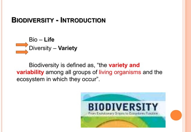 Biodiversity and its conservation | PPTX