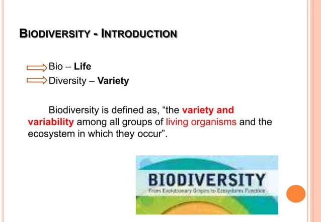 Biodiversity & I ts Conservation | PPTX