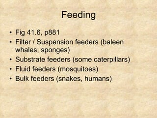 Biodiversity Jewett | PPT