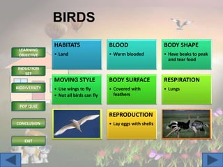 Biodiversity | PPTX | Reptiles | Pets