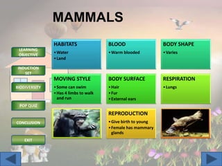 Biodiversity | PPTX | Reptiles | Pets