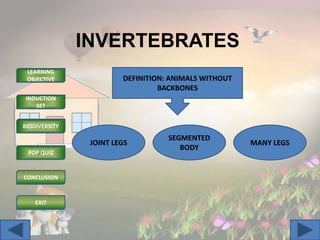 Biodiversity | PPTX | Reptiles | Pets