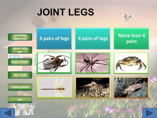 Biodiversity | PPTX | Reptiles | Pets