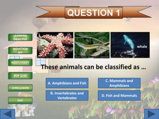 Biodiversity | PPTX | Reptiles | Pets