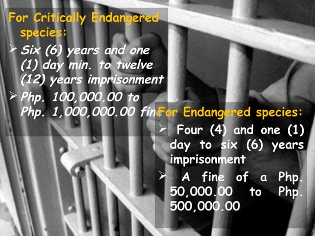 Biodiversity laws r.a 9147 | PPT | Currencies | Economy