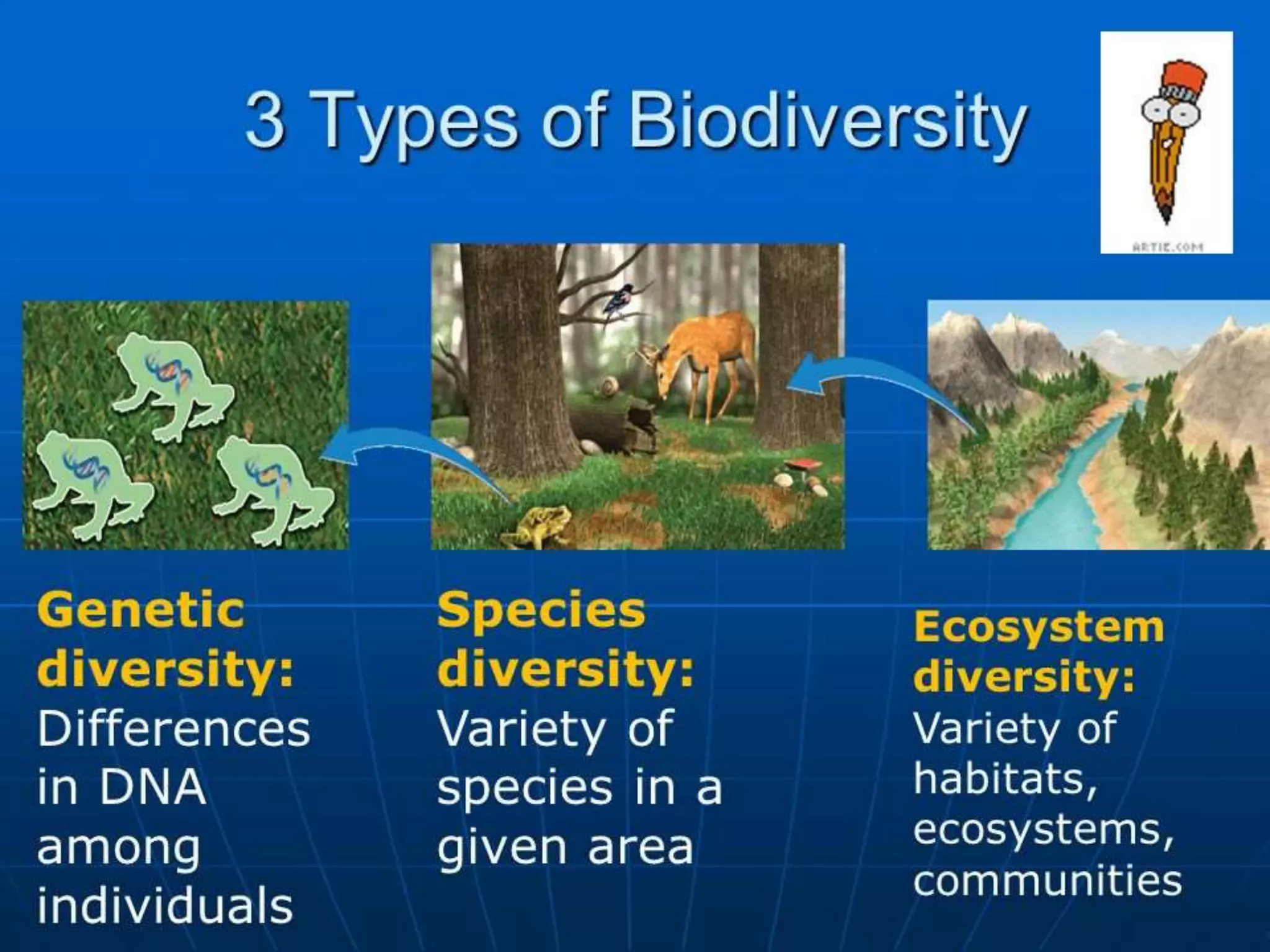 Introduction to biodiversity, Types of biodiversity | PPT