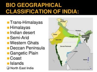 Biogeographical classification of India:Biodiversity | PPT