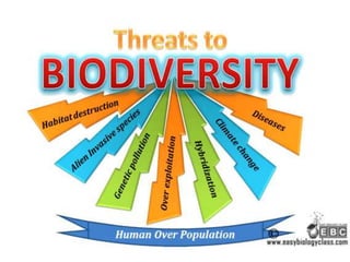 Threats to biodiversity: Biodiversity | PPT