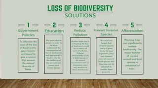 Biodiversity loss_100951.pptx.presentation | PPTX