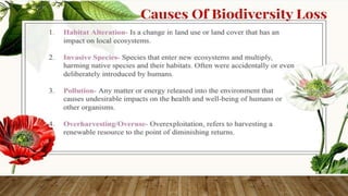 Biodiversity loss_100951.pptx.presentation | PPTX
