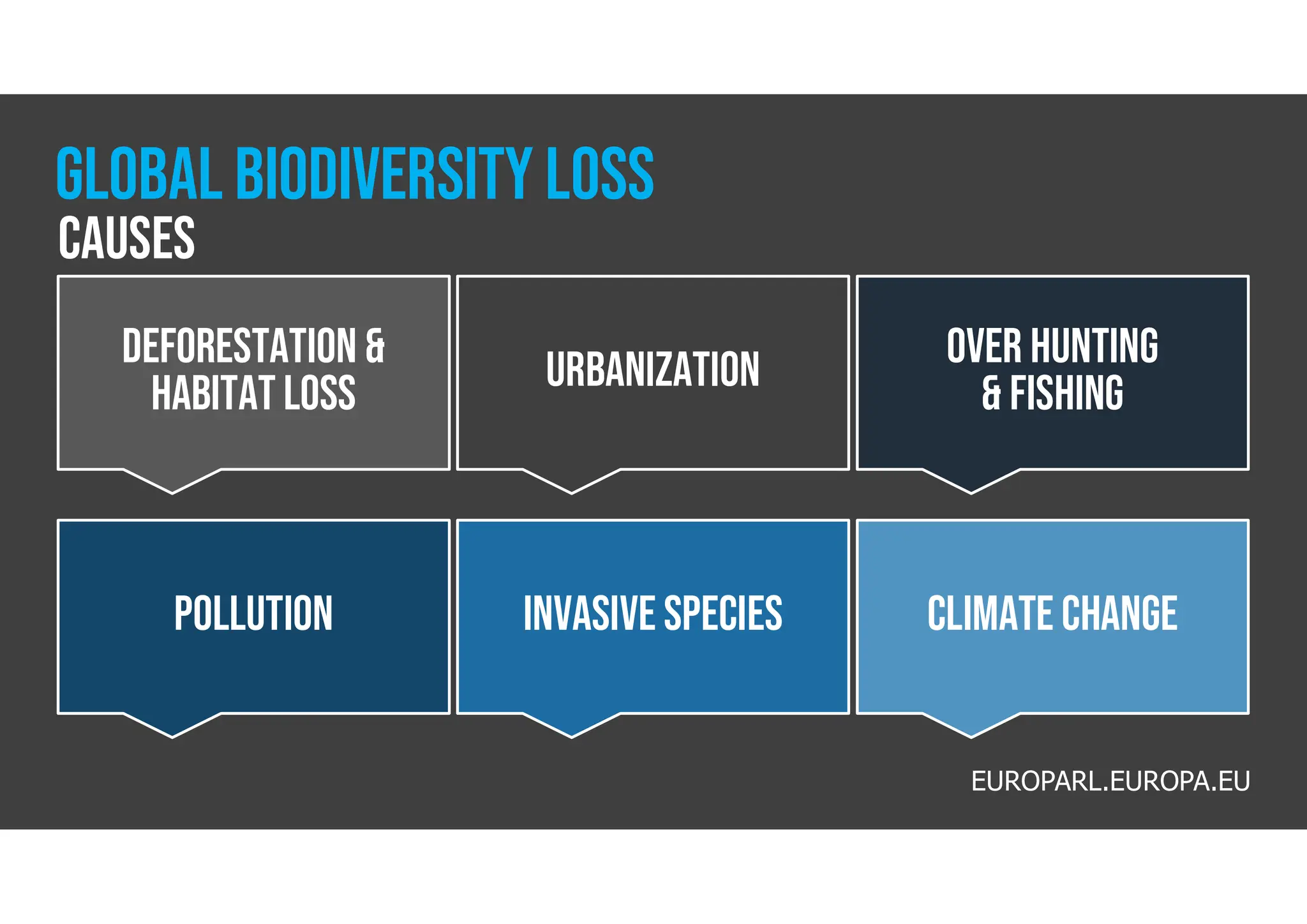 Biodiversity Loss | PDF | Environmental Services Industry | Industries