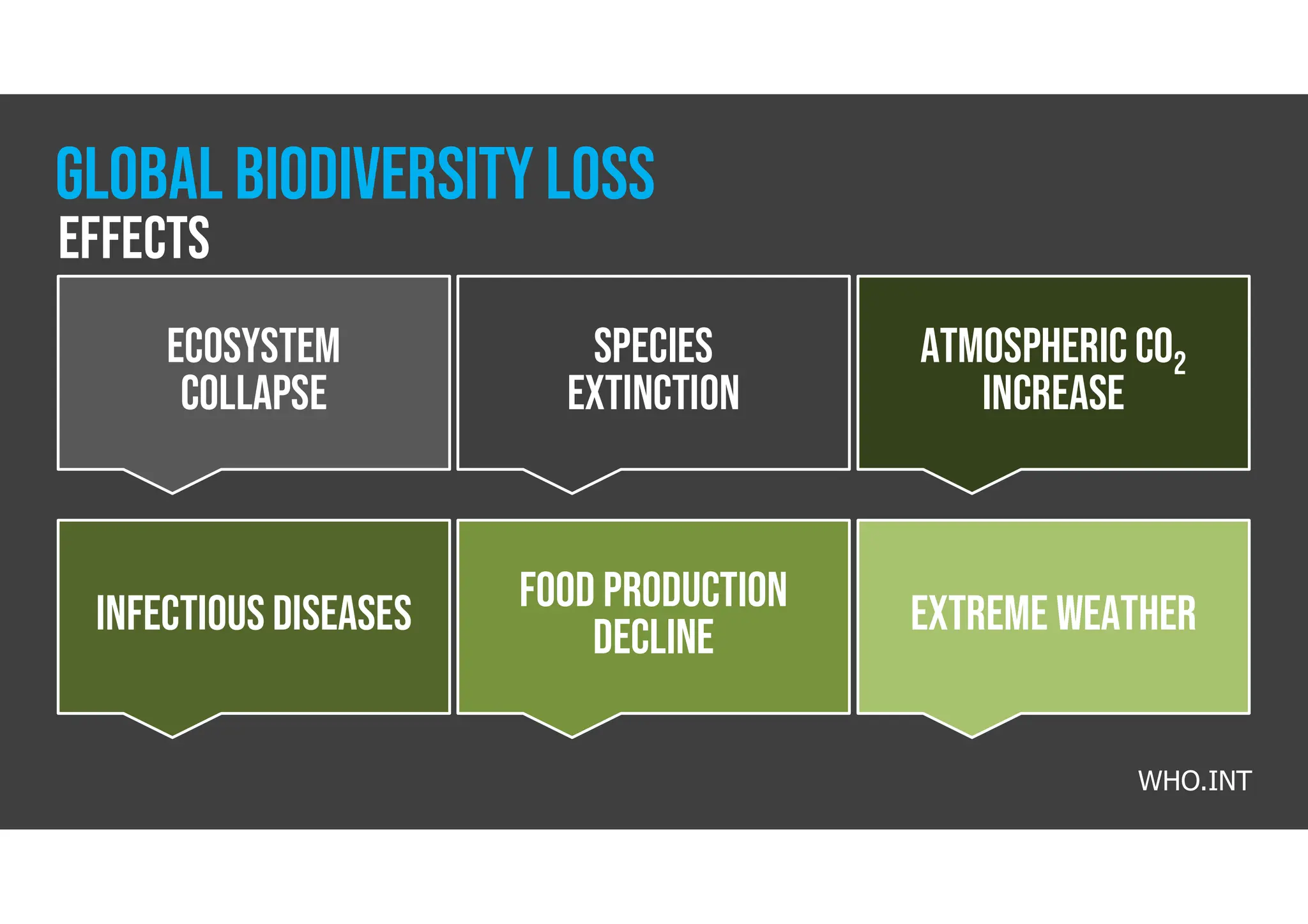 Biodiversity Loss | PDF