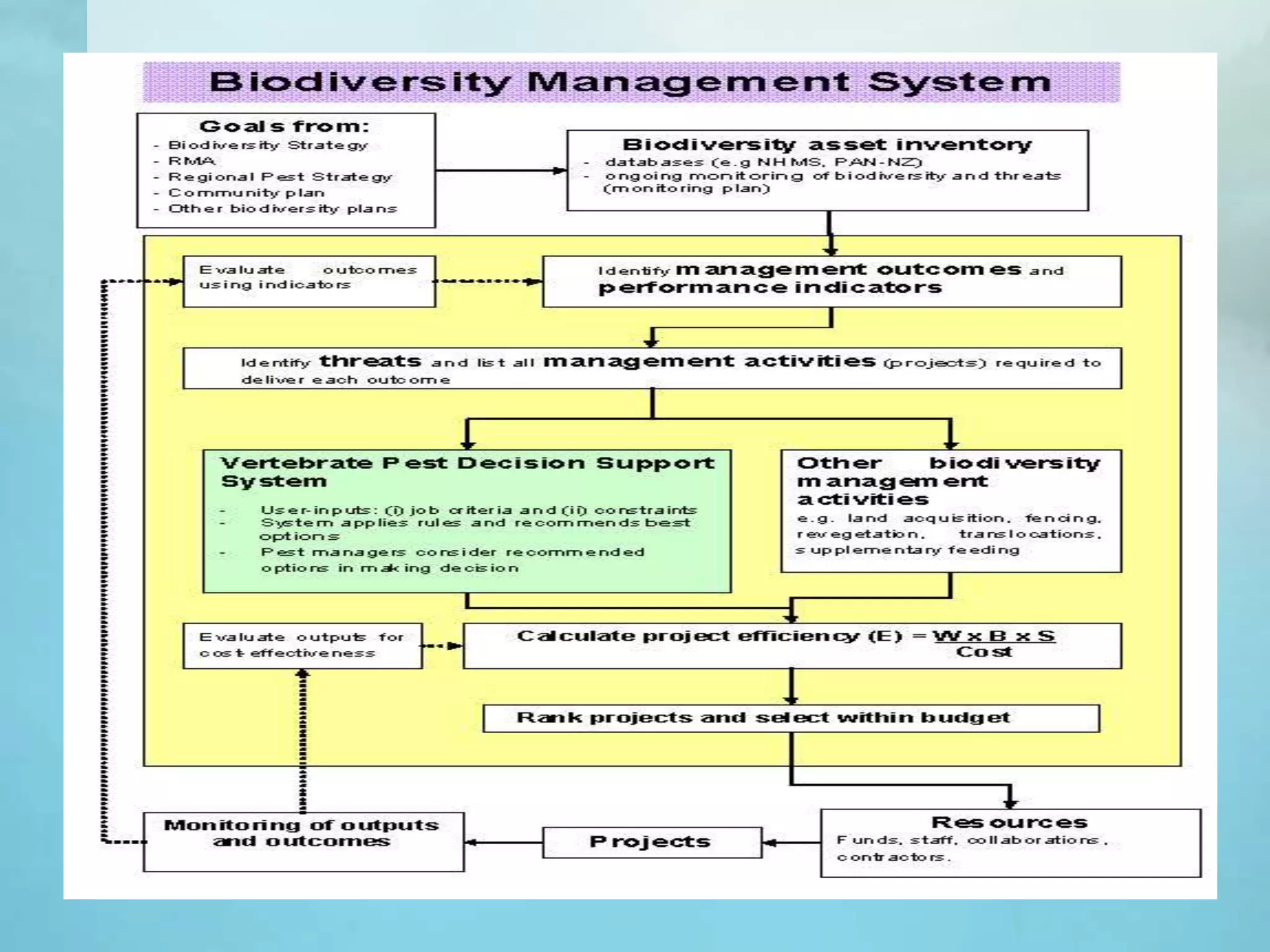 Biodiversity Management & Forestry | PPTX
