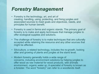 Biodiversity Management & Forestry | PPTX