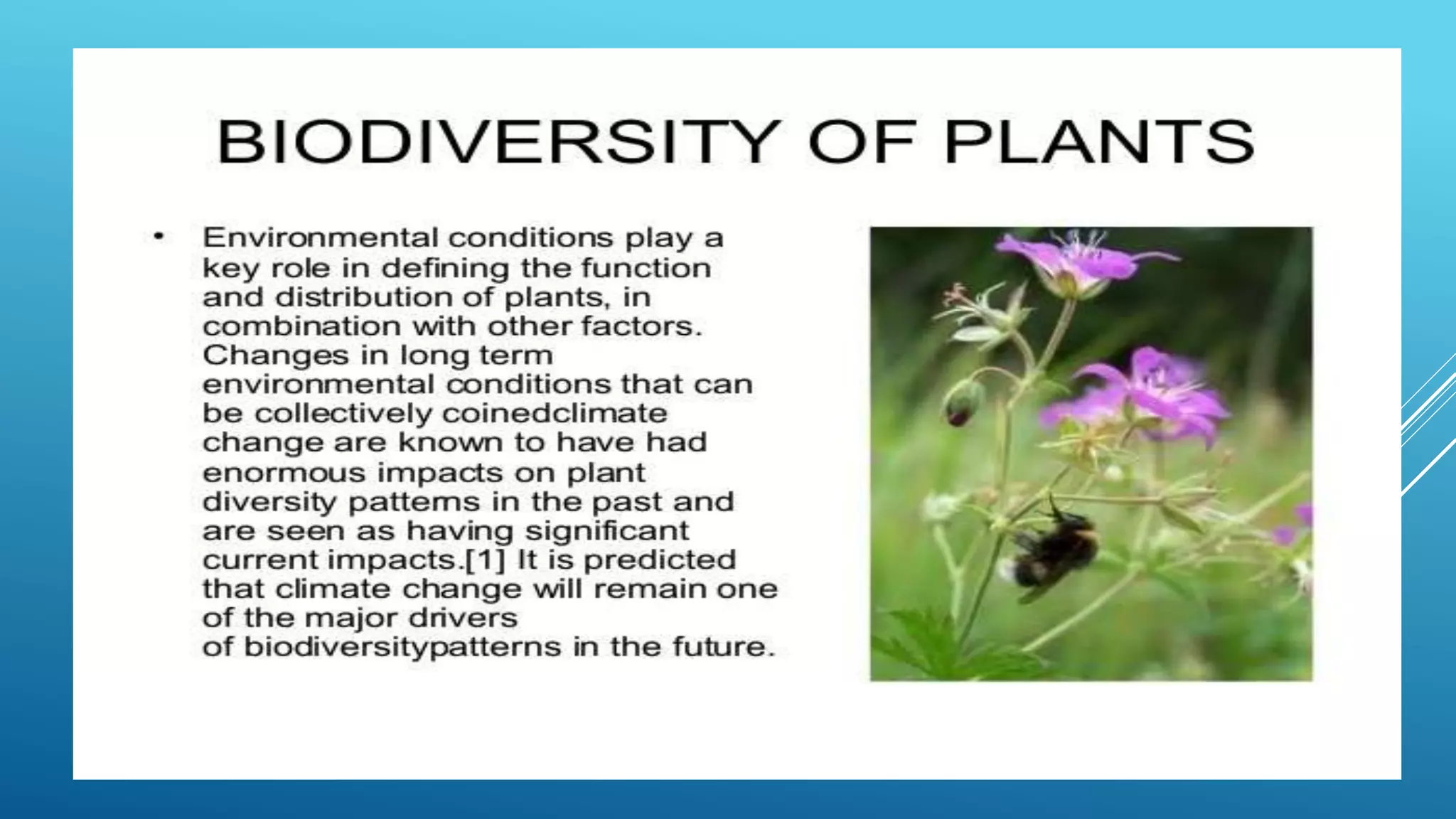 Biodiversity mini lesson | PPTX