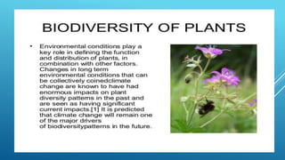 Biodiversity mini lesson | PPTX