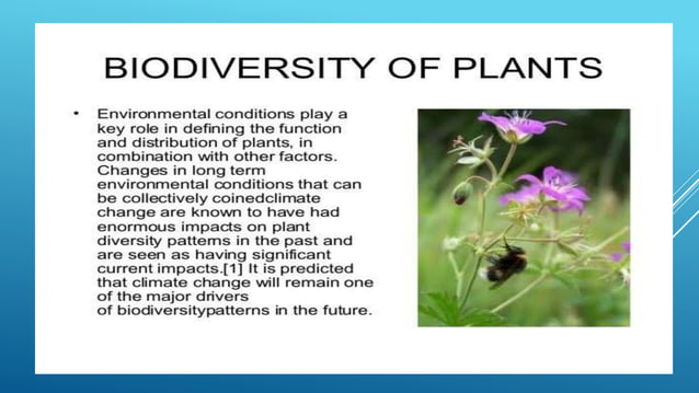 Biodiversity mini lesson | PPTX