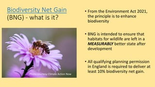 Embracing Biodiversity Net Gain: A Path to Sustainable Development for ...