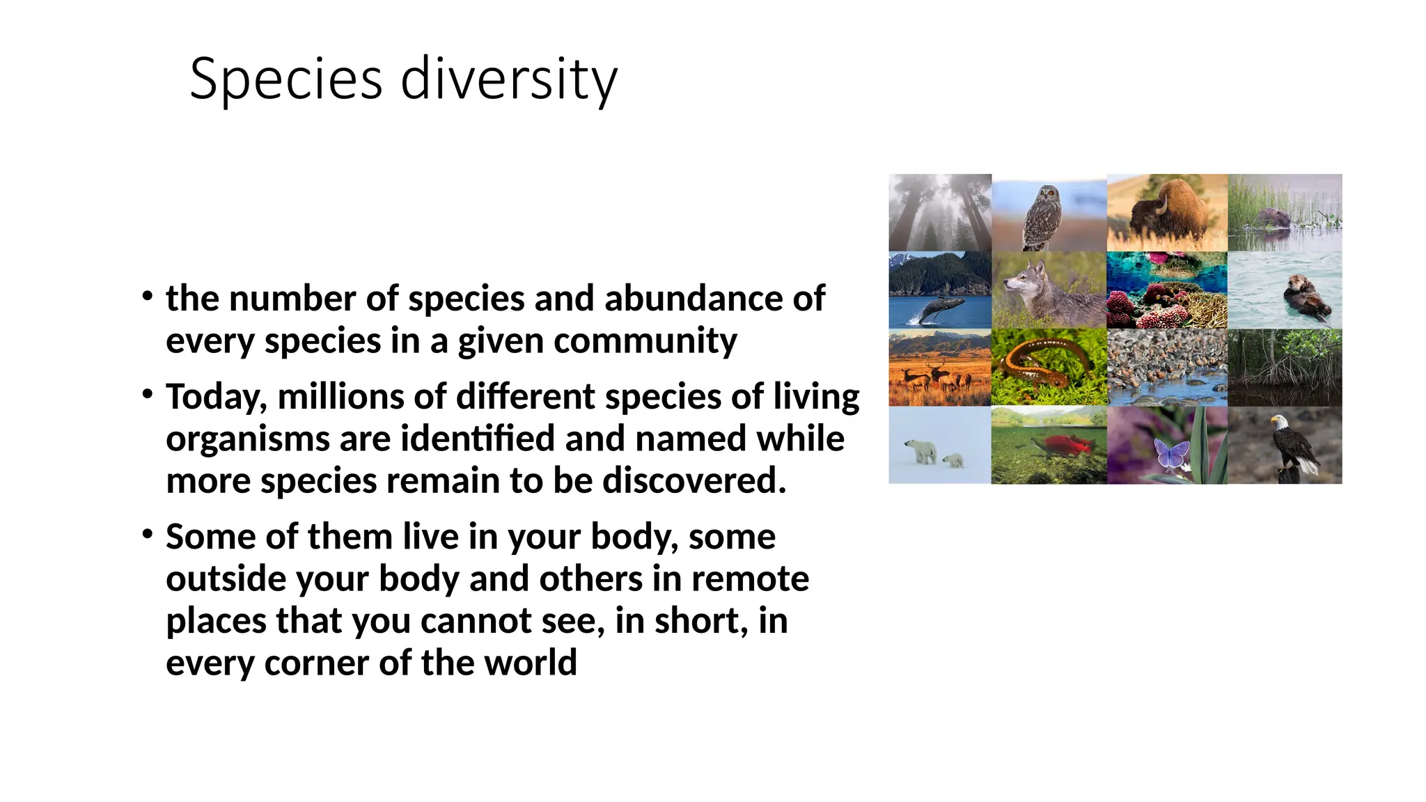 Grade 9: Quarter 4 Biodiversity notes.pptx