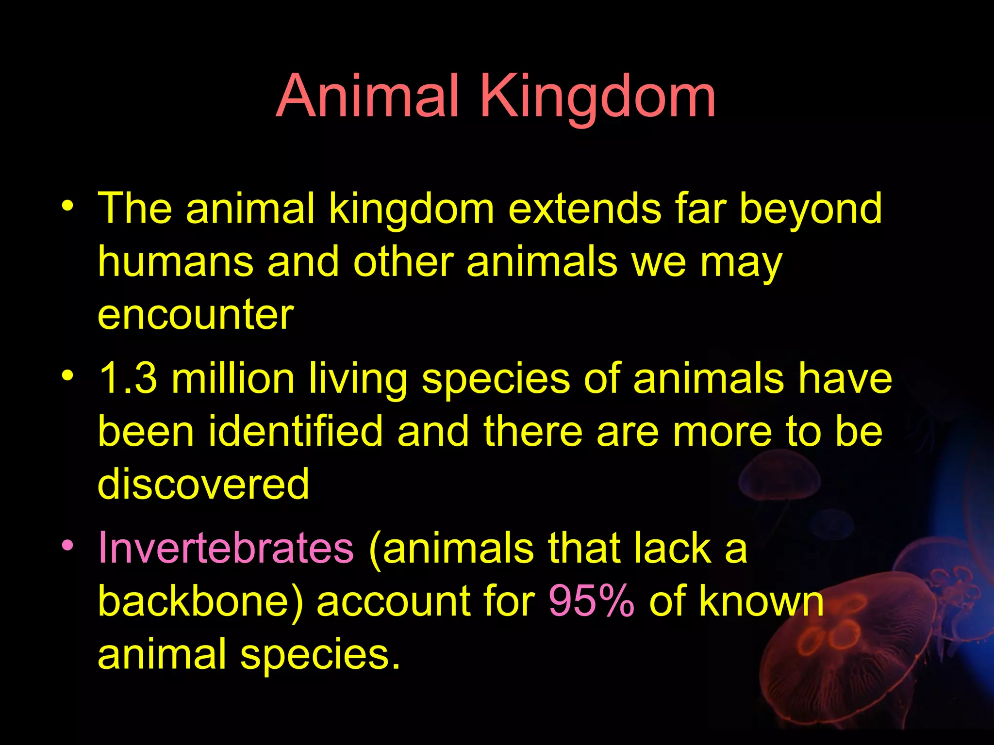 Biodiversity of animals | PPT