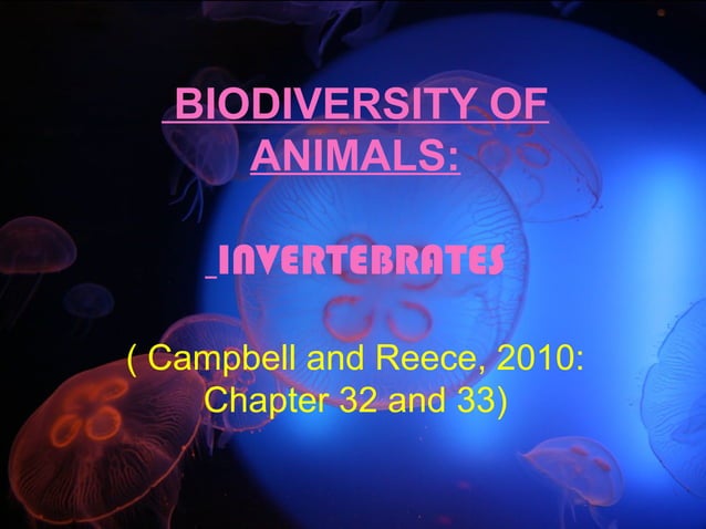 Biodiversity of animals | PPT