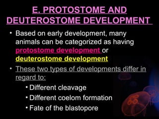 Biodiversity of animals | PPT