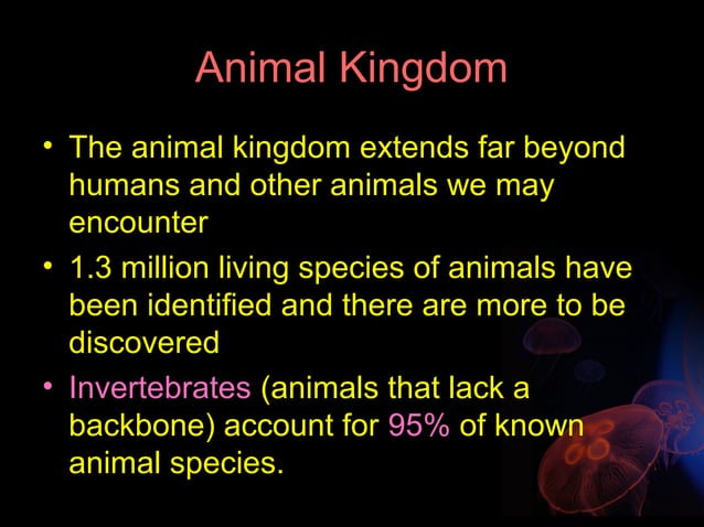 Biodiversity of animals | PPT