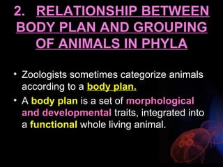 Biodiversity of animals | PPT