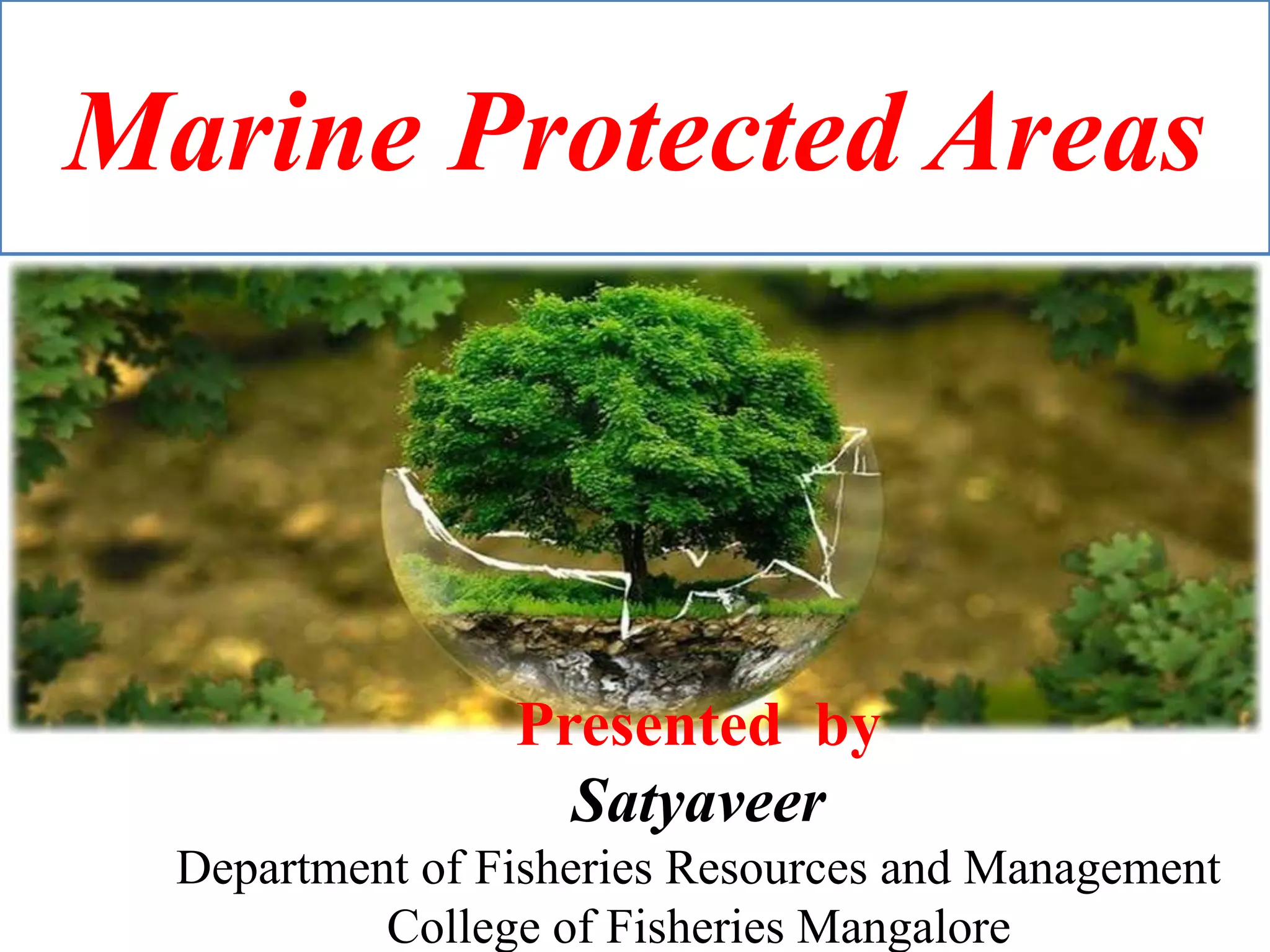 Marine Protected Areas | PPTX