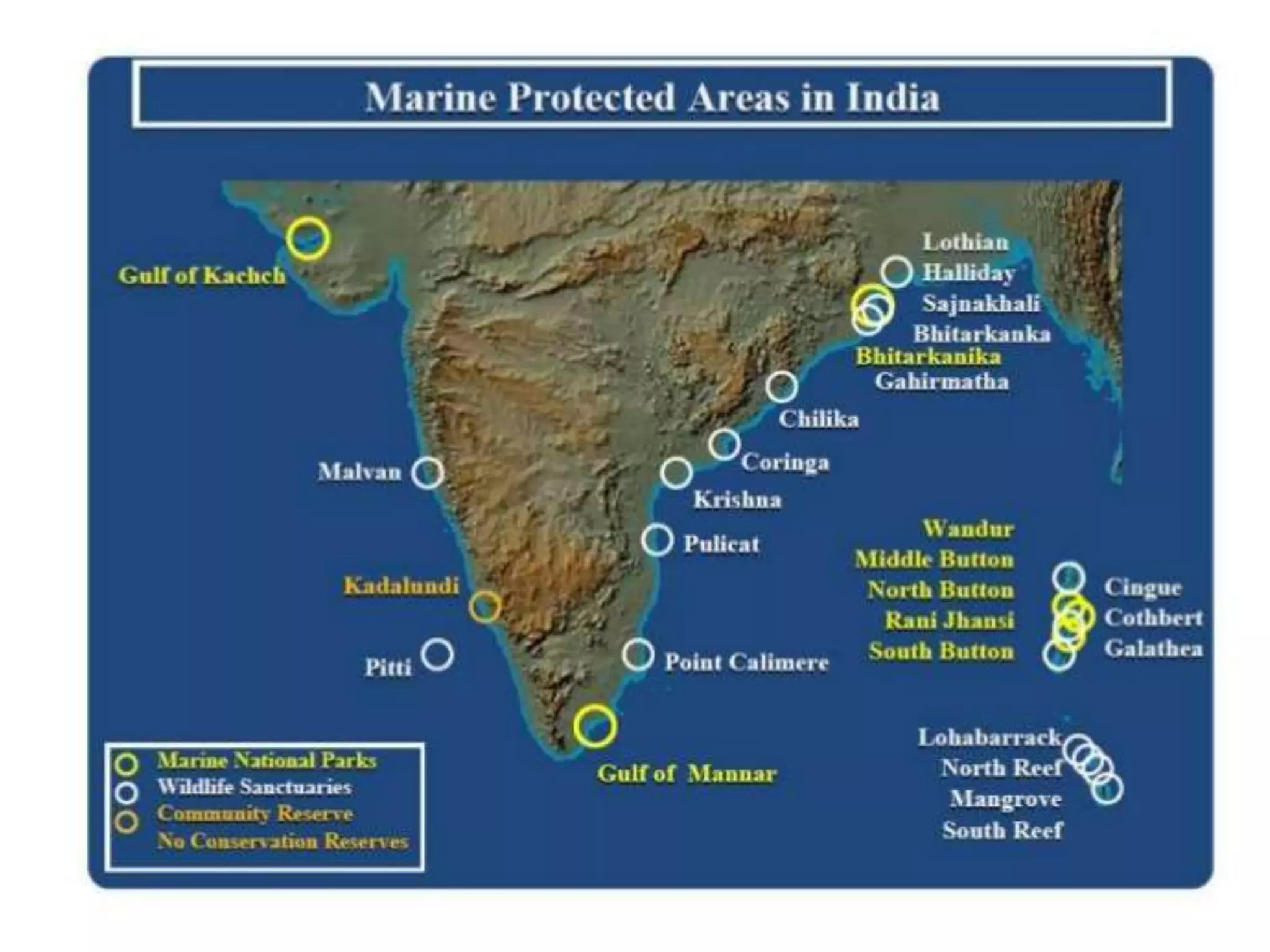 Marine Protected Areas | PPTX
