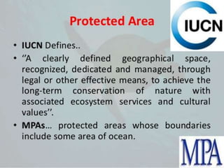 Marine Protected Areas | PPTX
