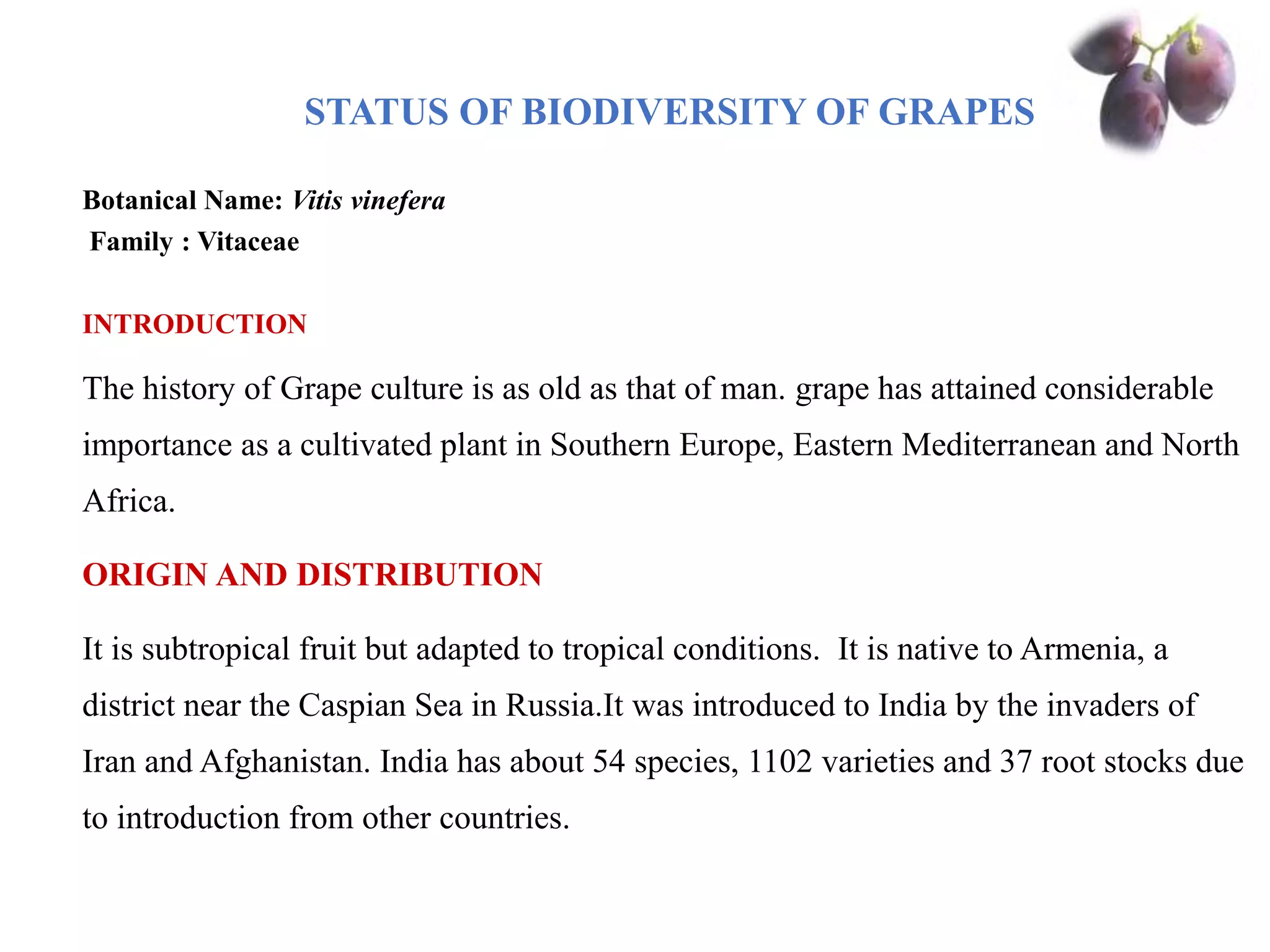 Biodiversity of grapes | PPTX