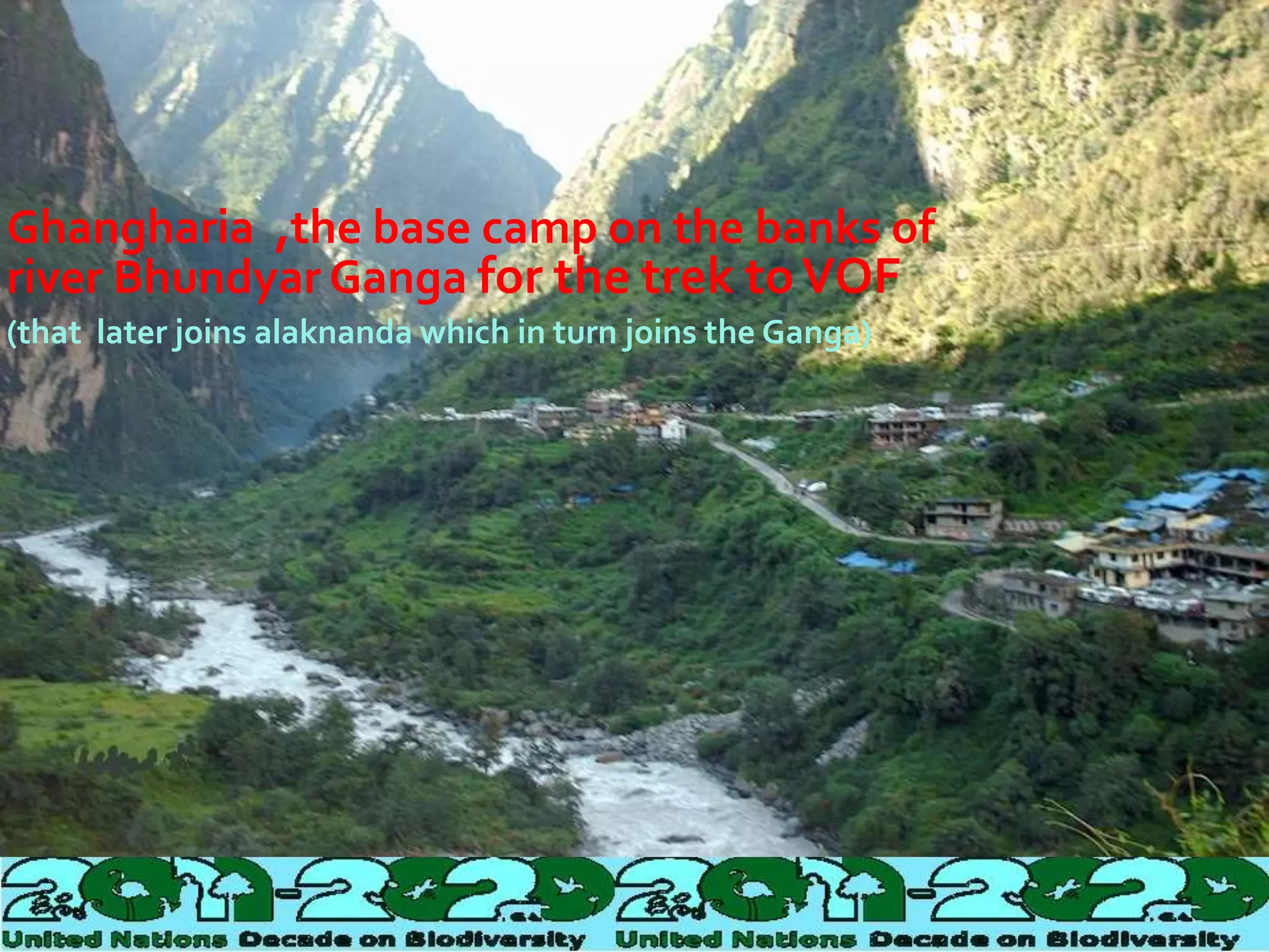 Biodiversity of himalaya final | PPTX