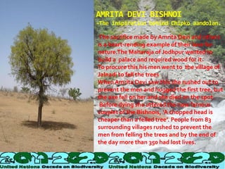 Biodiversity of himalaya final | PPTX