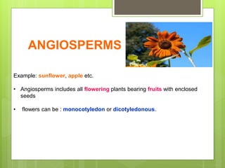 Biodiversity of living organisms | PPT