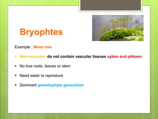 Biodiversity of living organisms | PPT