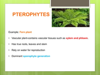 Biodiversity of living organisms | PPT