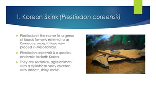 Biodiversity of North Korea | PPT