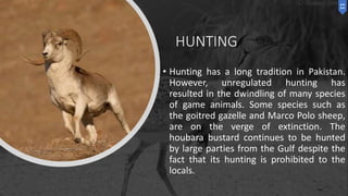 Biodiversity of pakistan | PPTX